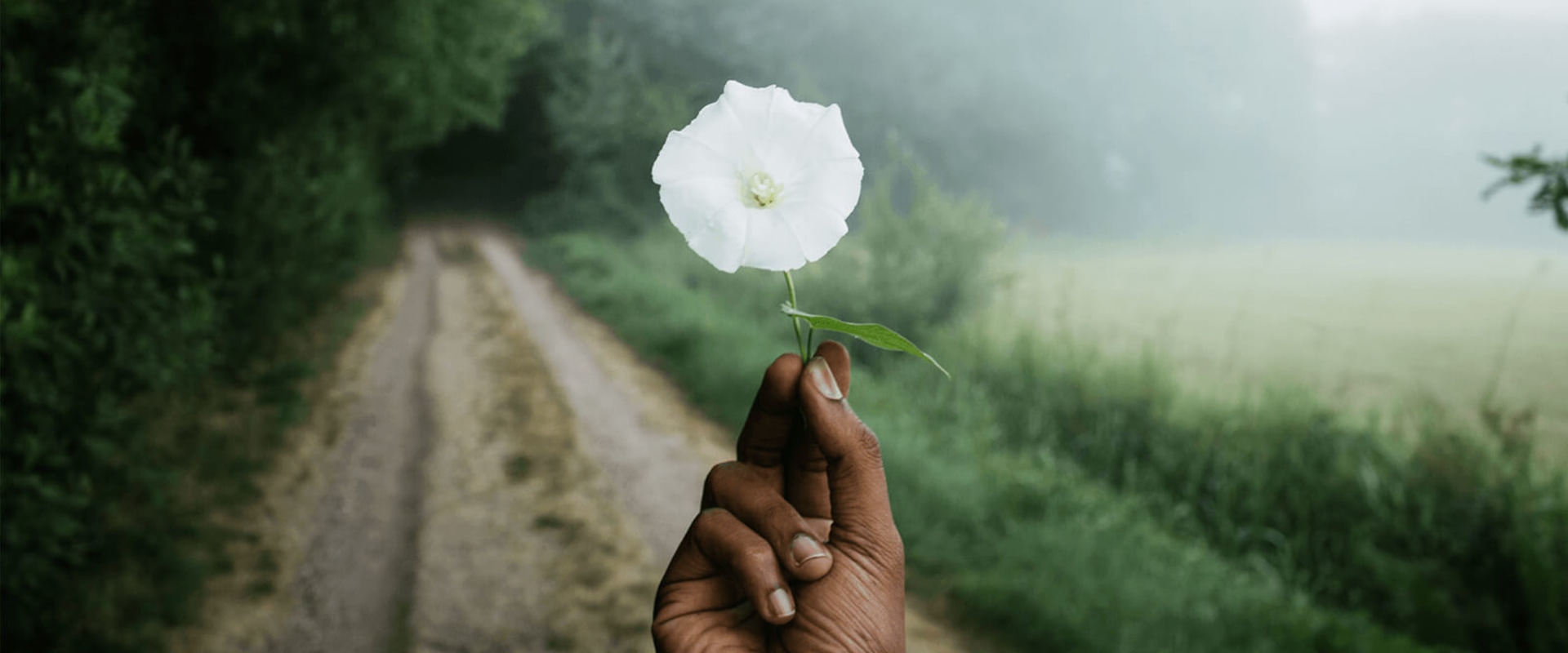 The Longest Verses in the Bible: Uncovering the Story Behind Them