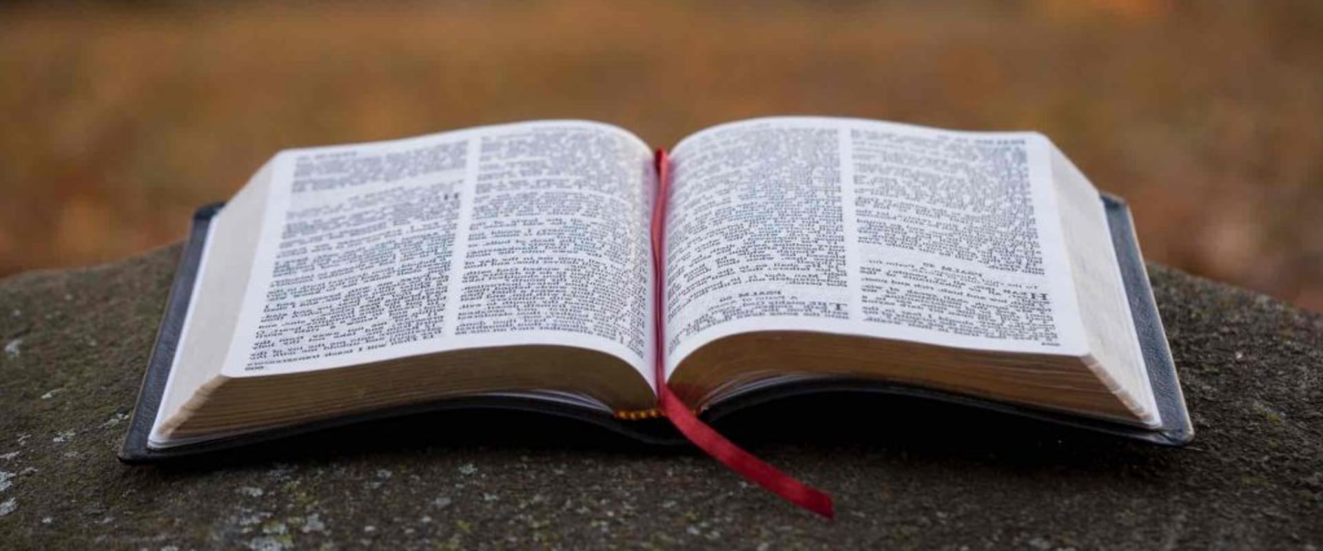 How to Receive Daily Bible Verse Texts