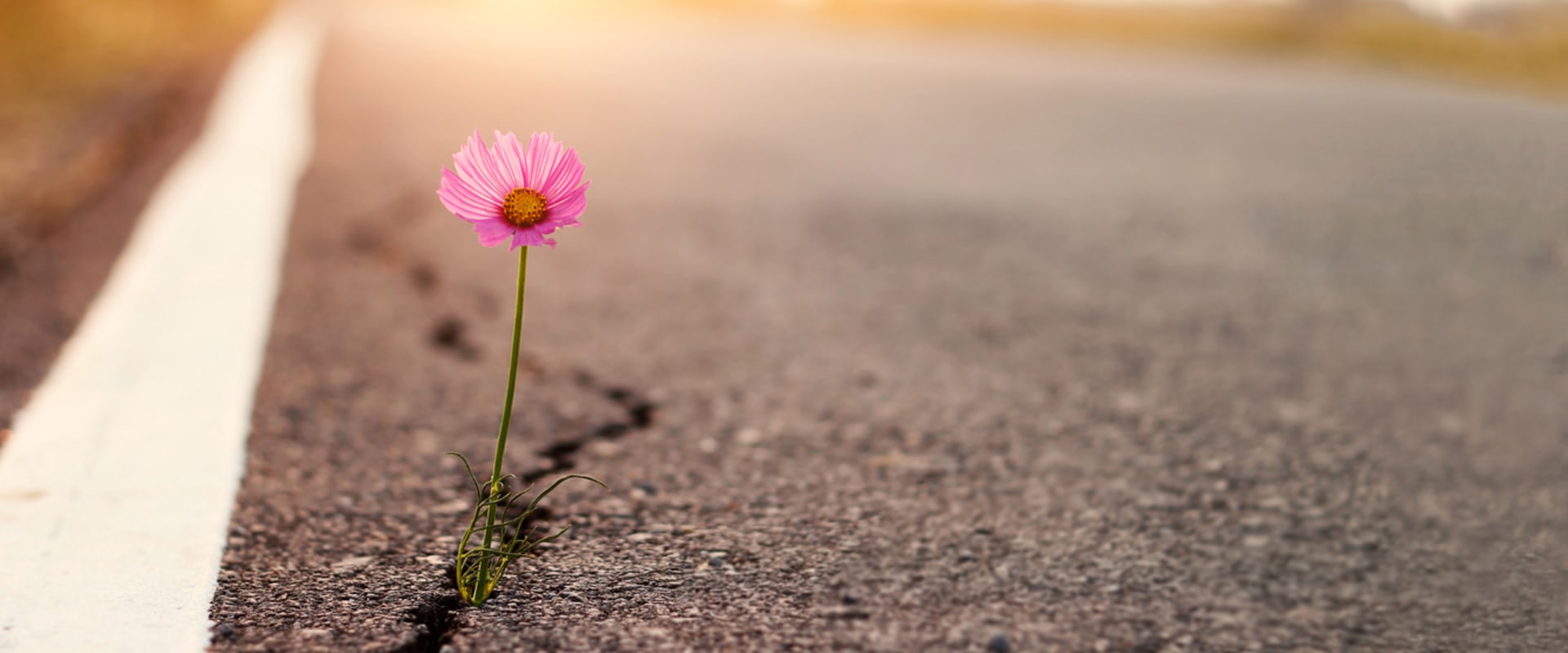 30 Bible Verses About Hope to Reassure and Inspire